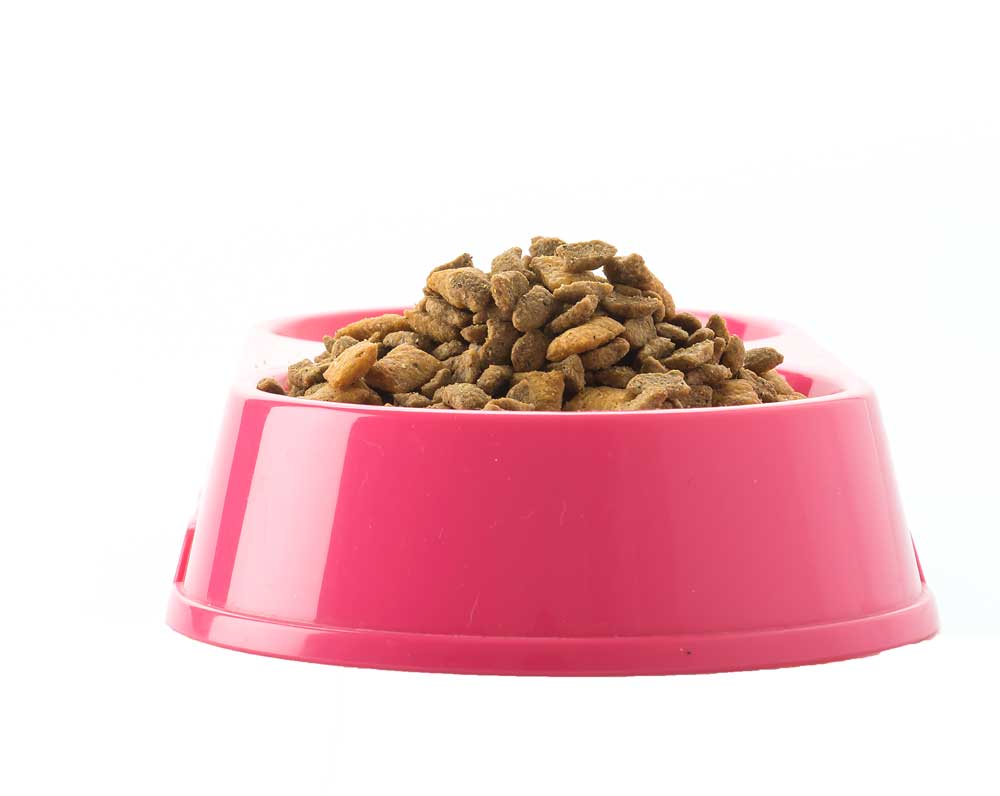 Boutique pour animaux à Rouyn-Noranda, près de Val-d’Or